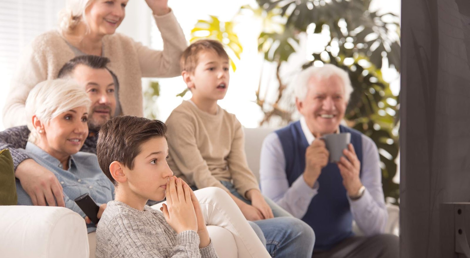 Just Energy Plans: Compare Rates & More | Power Wizard