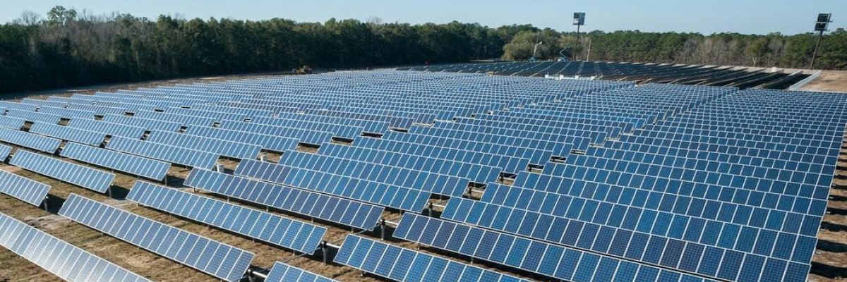 How Do Solar Farms Work? | Power Wizard